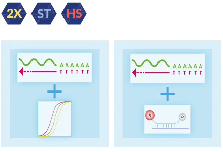 1Step Magic SYBR Kit (200 rxn/20 µL) - TRAXSKU1201