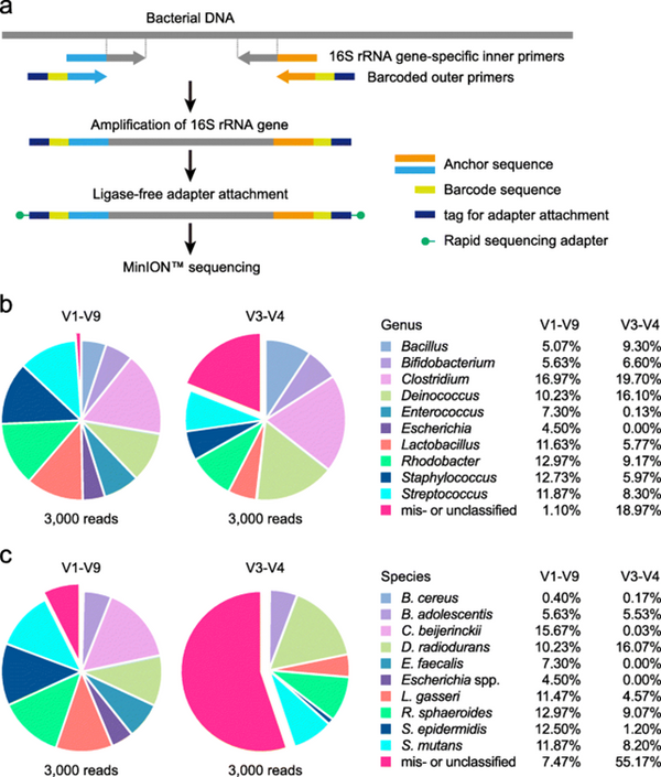 Animal Gut Microbiome Testing Service